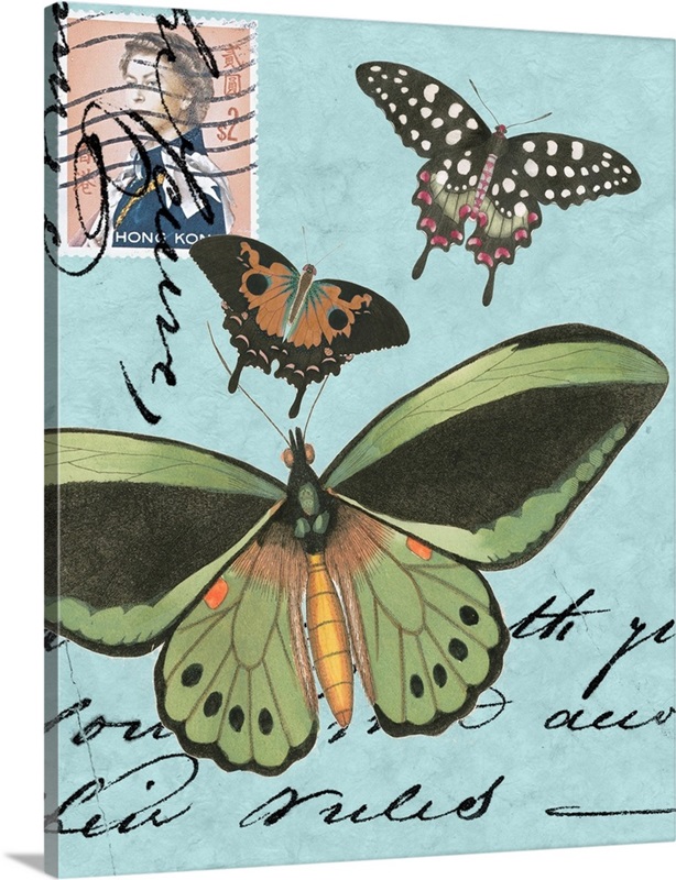 Le Papillon Script VI | Great Big Canvas