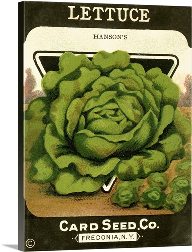 Lettuce Wall Art, Canvas Prints, Framed Prints, Wall Peels | Great Big ...