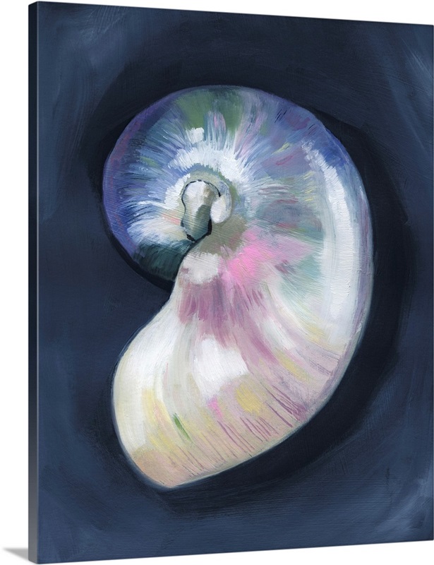 Lost Shell II | Great Big Canvas