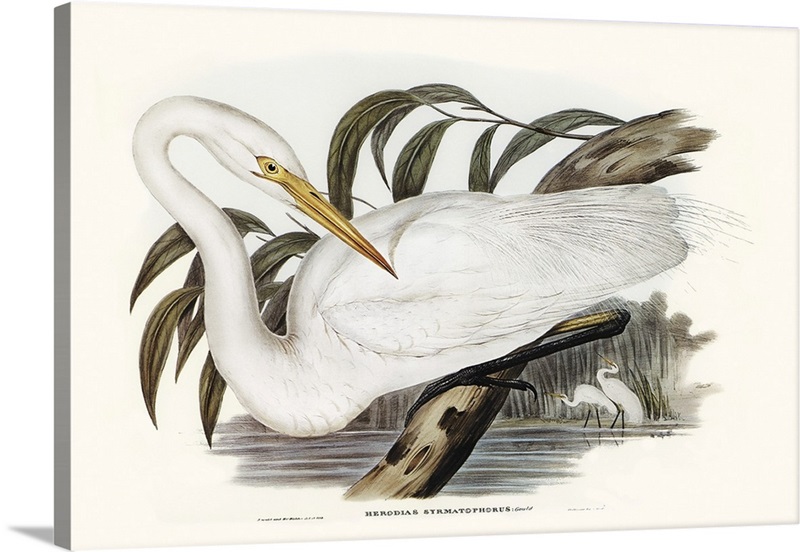 Majestic Waterbird I | Great Big Canvas