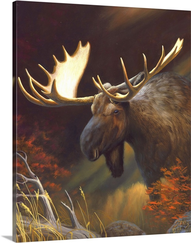 Moose Portrait | Great Big Canvas
