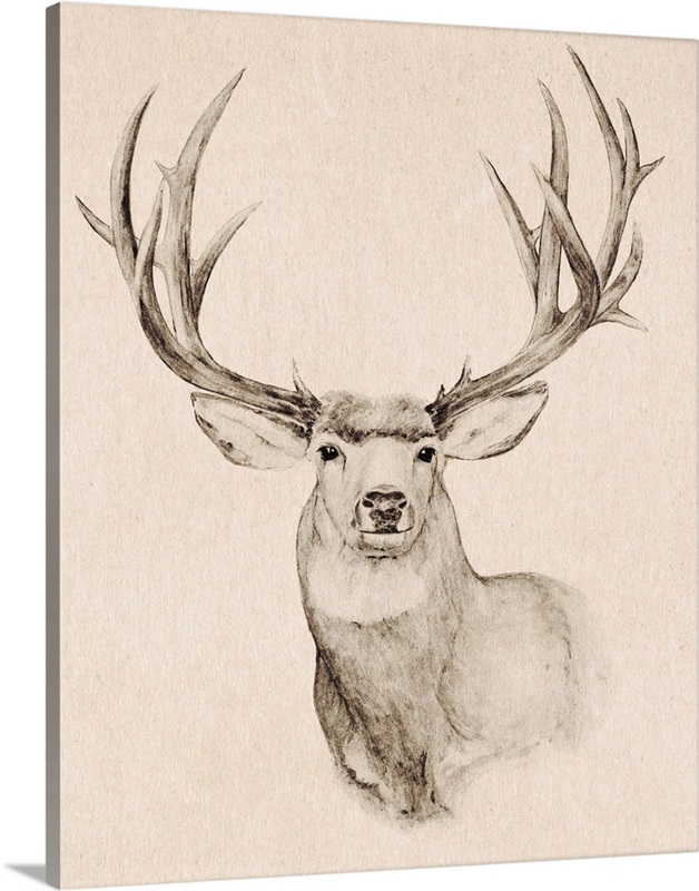 Natural Buck II | Great Big Canvas