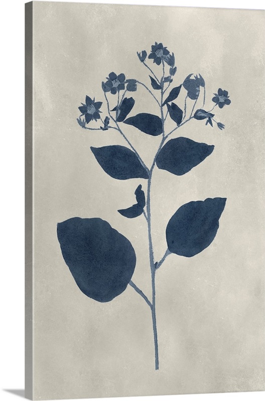 Navy Pressed Flowers III | Great Big Canvas