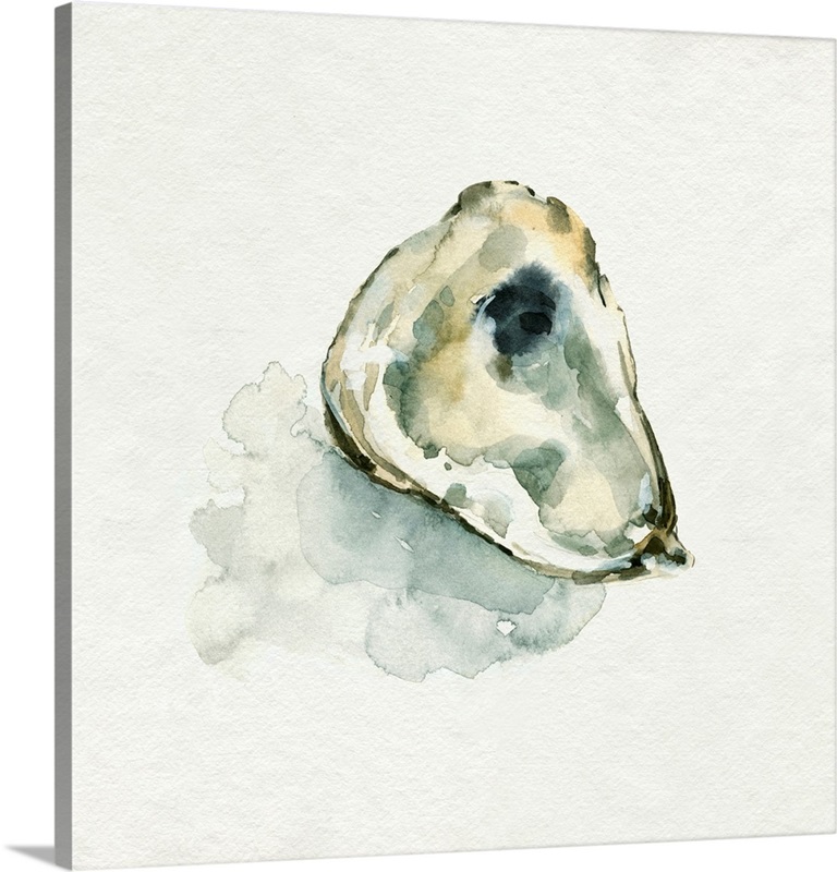 Old Salt Shell II | Great Big Canvas