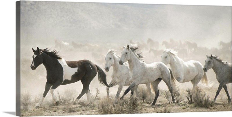Open Range | Great Big Canvas