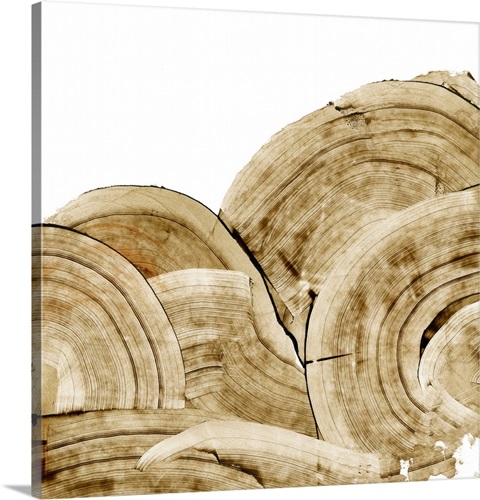 Overlapping Tree Rings I Wall Art, Canvas Prints, Framed Prints, Wall ...