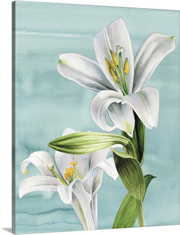 Peaceful Lilies II Wall Art, Canvas Prints, Framed Prints, Wall Peels ...