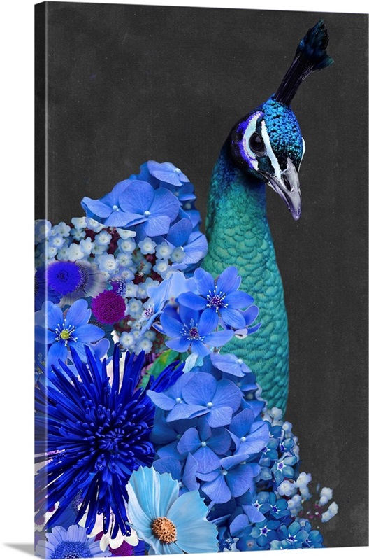 Peacock Collage II | Great Big Canvas