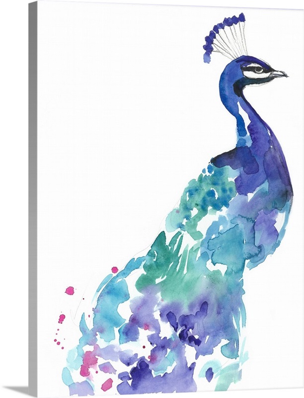Peacock Splash I | Great Big Canvas