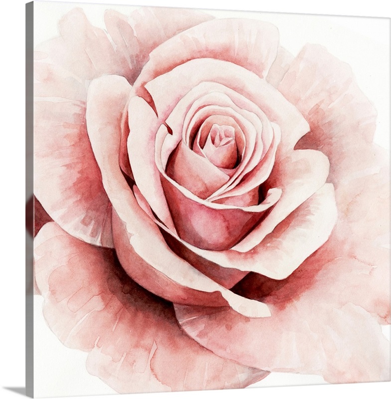 Pink Rose I | Great Big Canvas