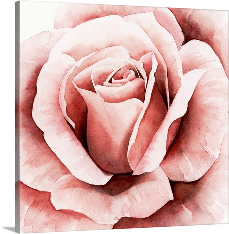 Pink Rose II | Great Big Canvas