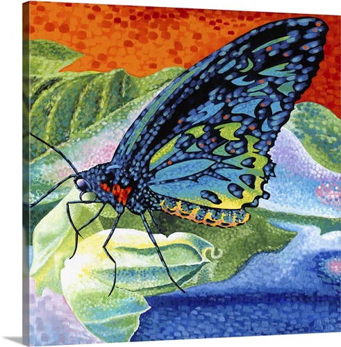 Poised Butterfly II Wall Art, Canvas Prints, Framed Prints, Wall Peels ...