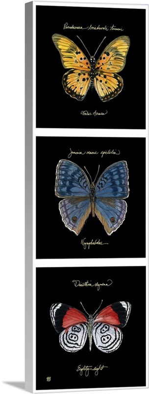 Primary Butterfly Panel II | Great Big Canvas