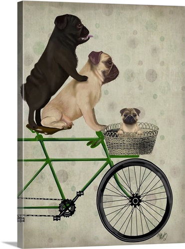 Pugs on Bicycle | Great Big Canvas