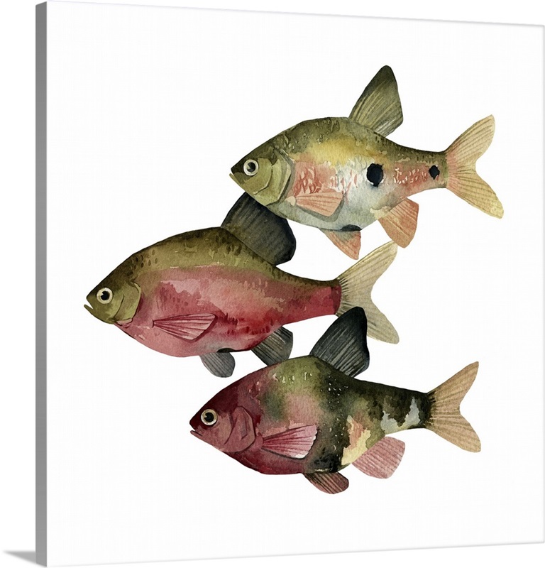 Rainbow Fish I | Great Big Canvas