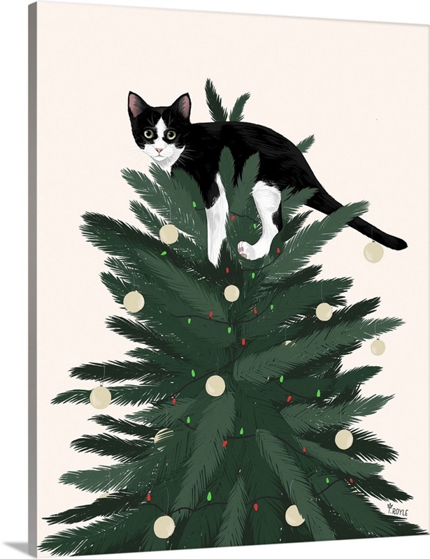 Rascal Cat V | Great Big Canvas