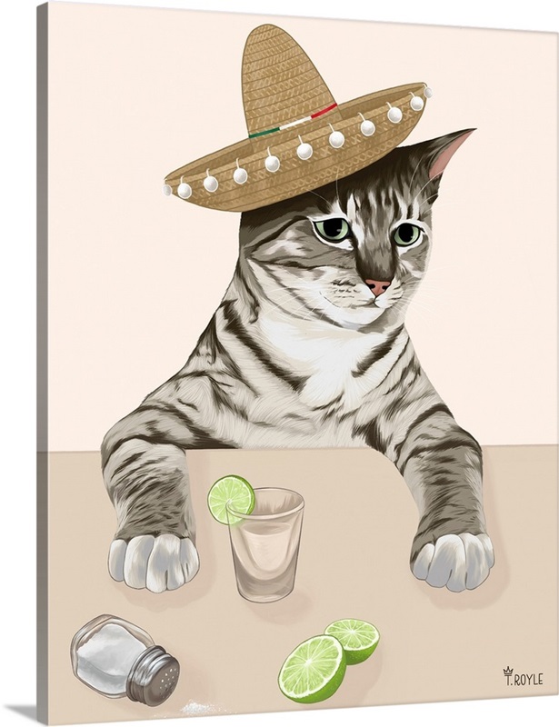 Rascal Cat VI | Great Big Canvas