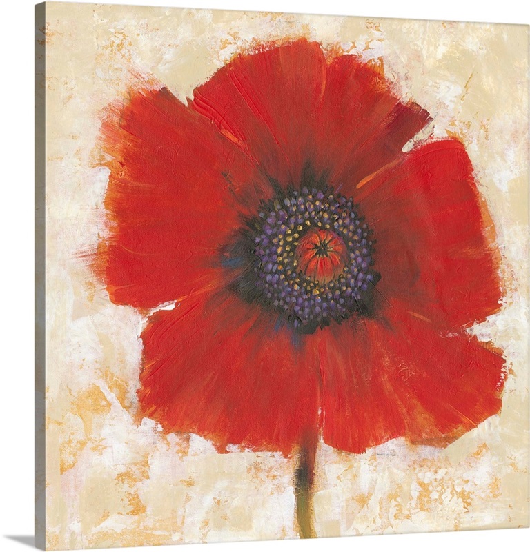Red Poppy Portrait II | Great Big Canvas