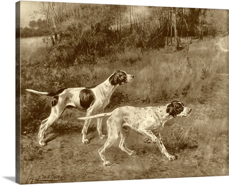 Rip Rap and Lad of Rush | Great Big Canvas