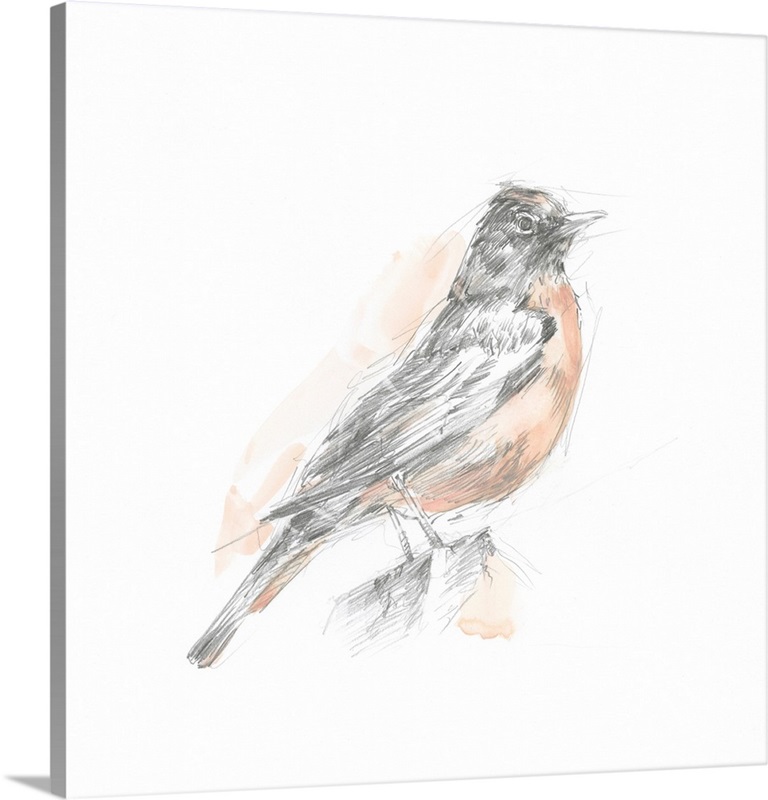 Robin Bird Sketch I | Great Big Canvas
