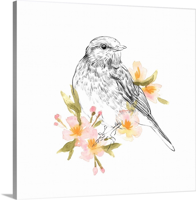 Robin Sketch I | Great Big Canvas