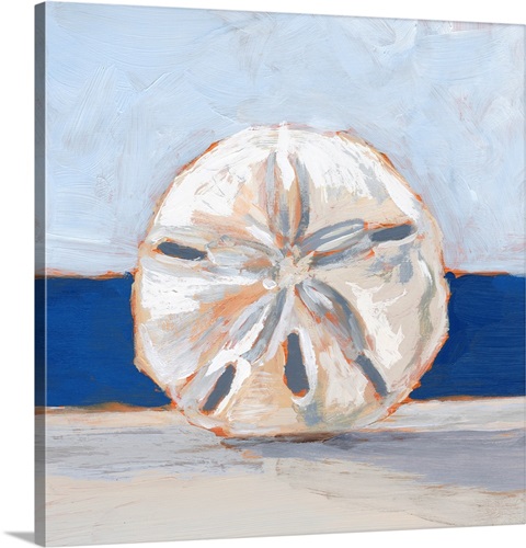 Sand Dollar By The Sea | Great Big Canvas