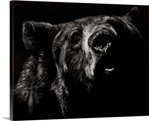 Scratchboard Critic | Great Big Canvas