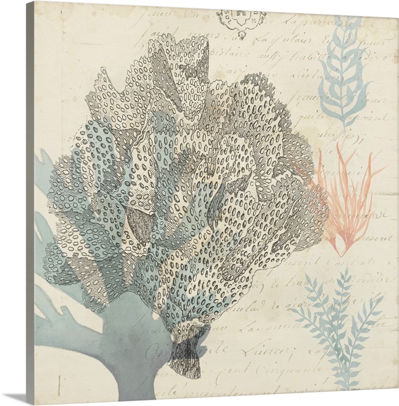 Sea Ephemera III | Great Big Canvas