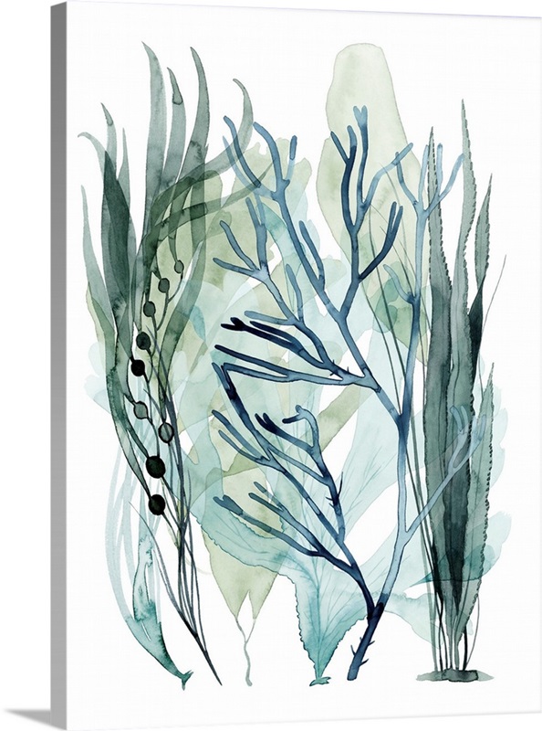 Sea Leaves III | Great Big Canvas