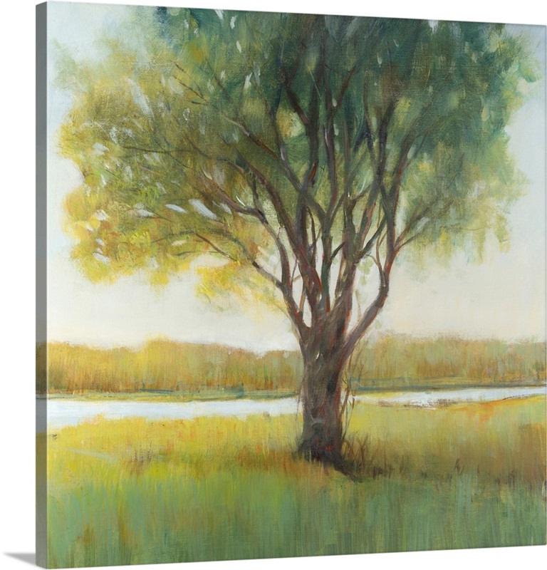 Shade Tree II | Great Big Canvas
