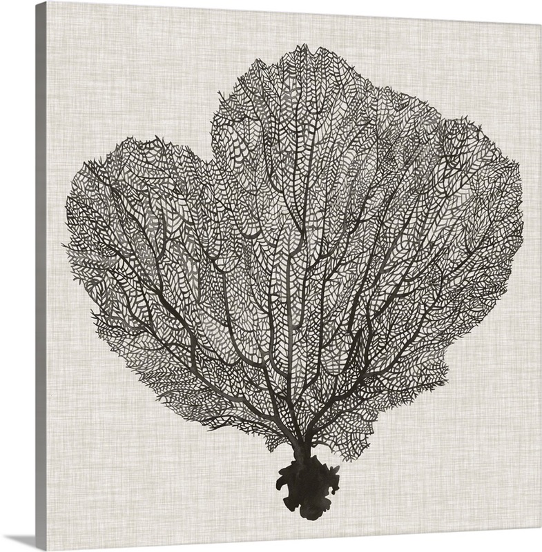 Shadow Sea Fan I | Great Big Canvas