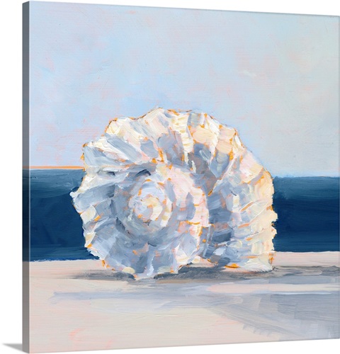 Shell By The Shore IV | Great Big Canvas