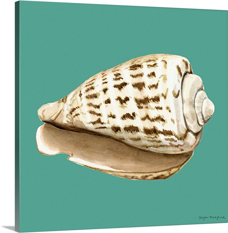 Shell on Aqua II | Great Big Canvas