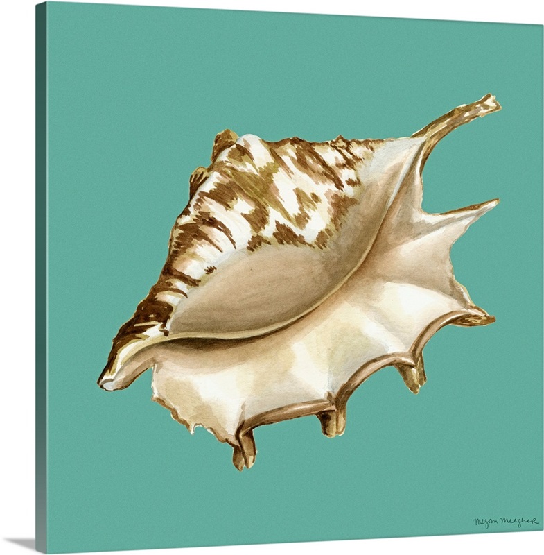 Shell on Aqua IV | Great Big Canvas
