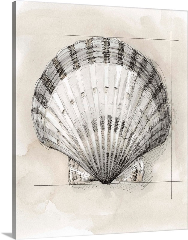 Shell Schematic III | Great Big Canvas