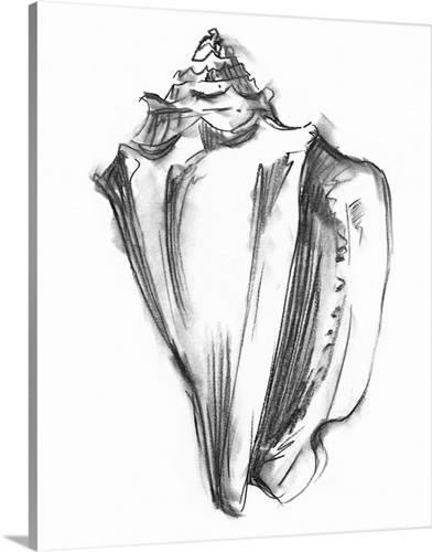 Shell Sketch I | Great Big Canvas