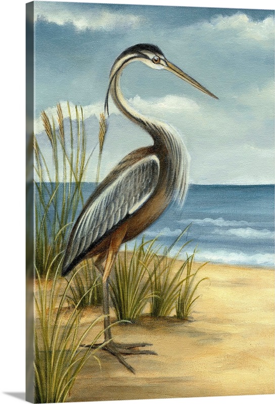 Shore Bird I | Great Big Canvas
