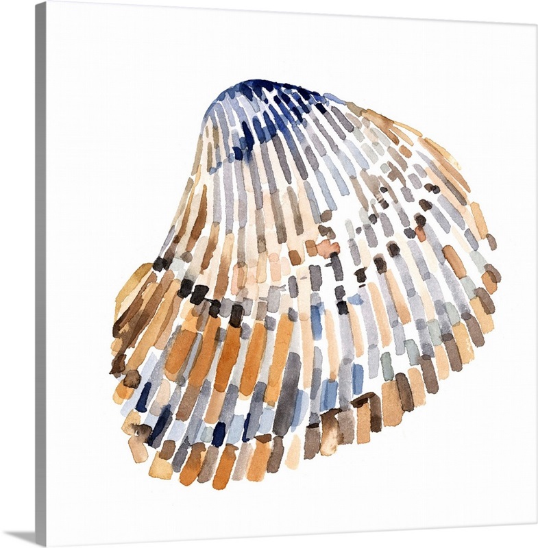 Simple Shells II | Great Big Canvas