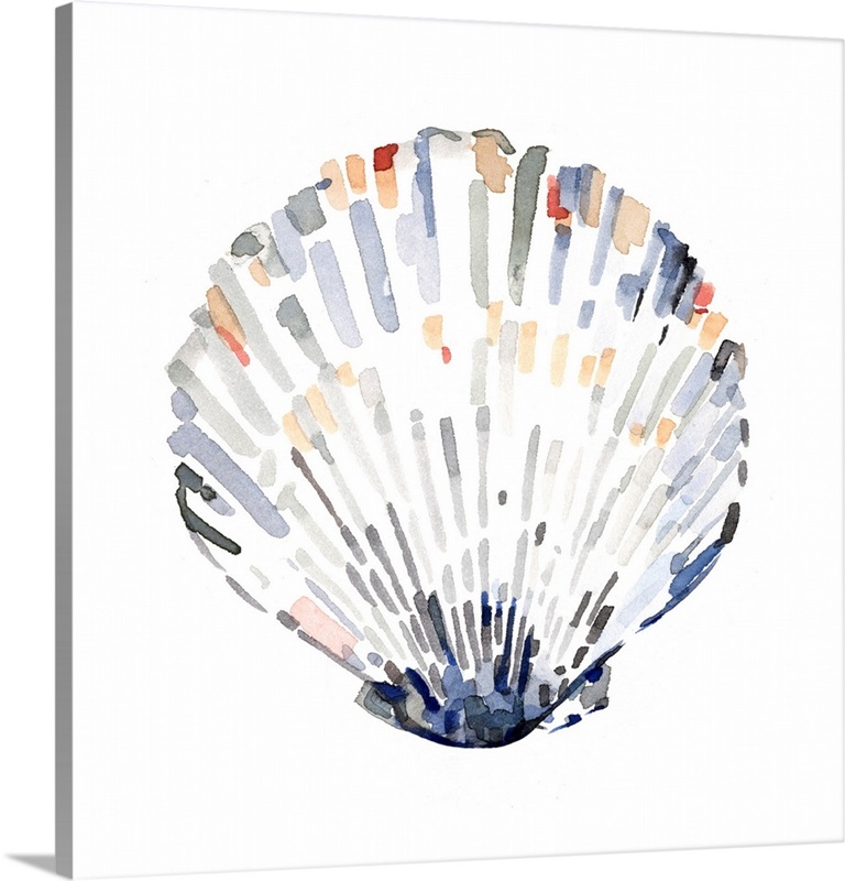 Simple Shells III | Great Big Canvas