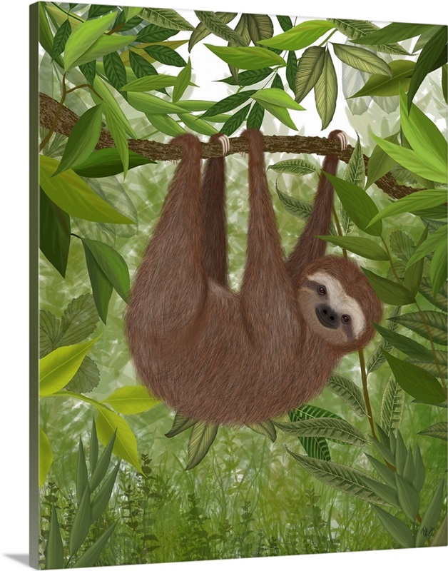 Sloth Hanging Around | Great Big Canvas