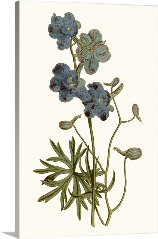 Soft Blue Botanicals V | Great Big Canvas