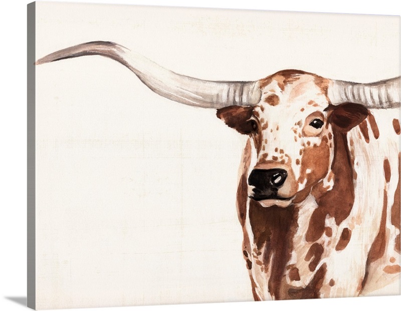 Spotted Steer II | Great Big Canvas
