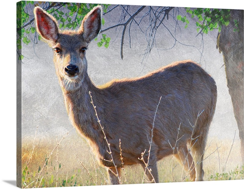 Spring Doe | Great Big Canvas