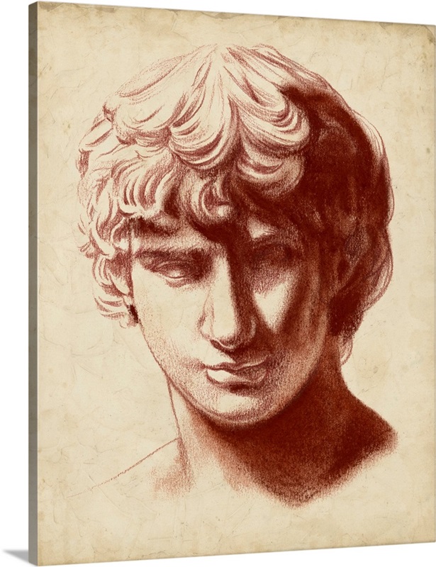 Statuesque Study II | Great Big Canvas