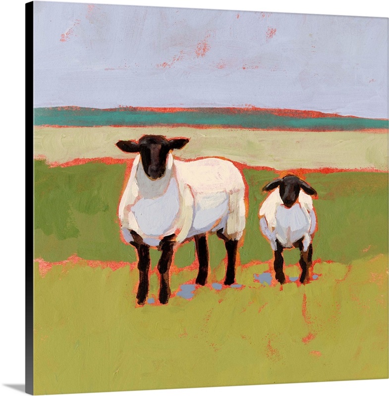 Suffolk Sheep I | Great Big Canvas