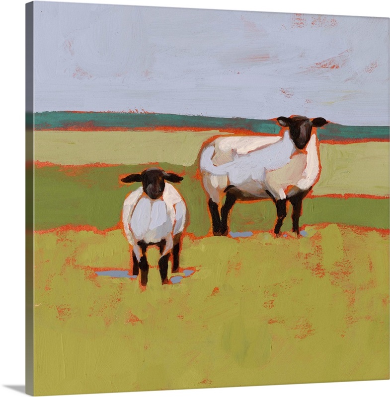 Suffolk Sheep II | Great Big Canvas