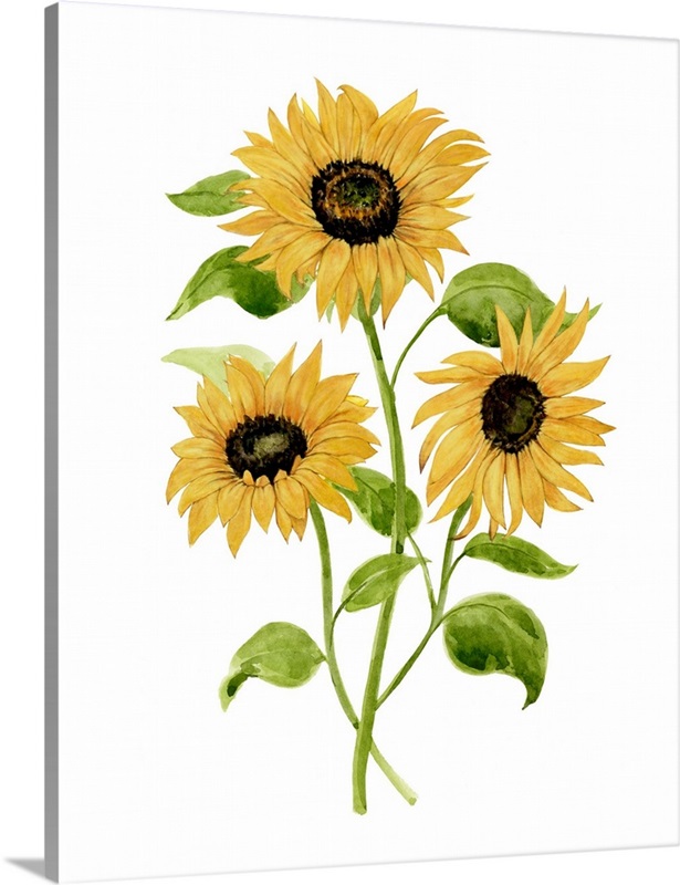 Sunflower Trio I | Great Big Canvas