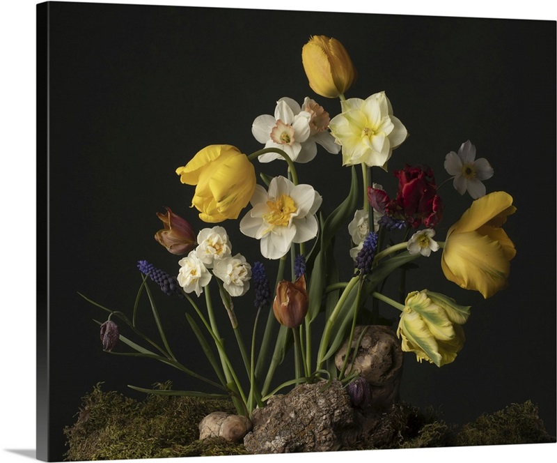 Sunny Spring Bounty III | Great Big Canvas