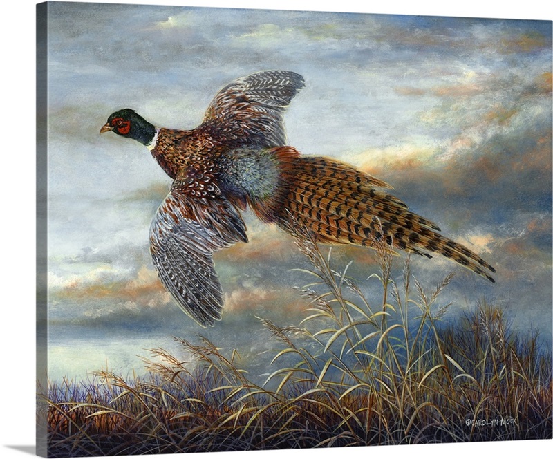 Taking Flight | Great Big Canvas