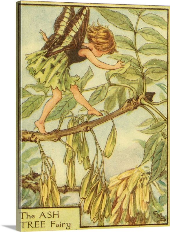 The Ash Tree Fairy | Great Big Canvas